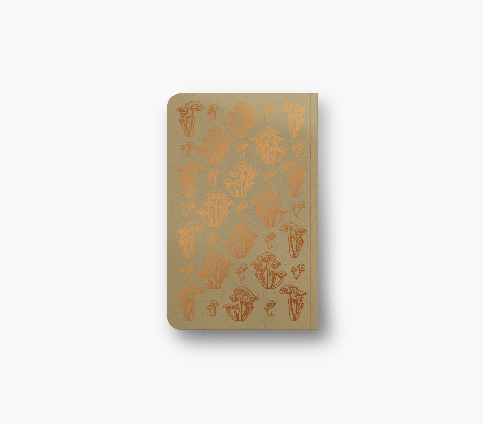 Metallics Notebook Collection – Denik